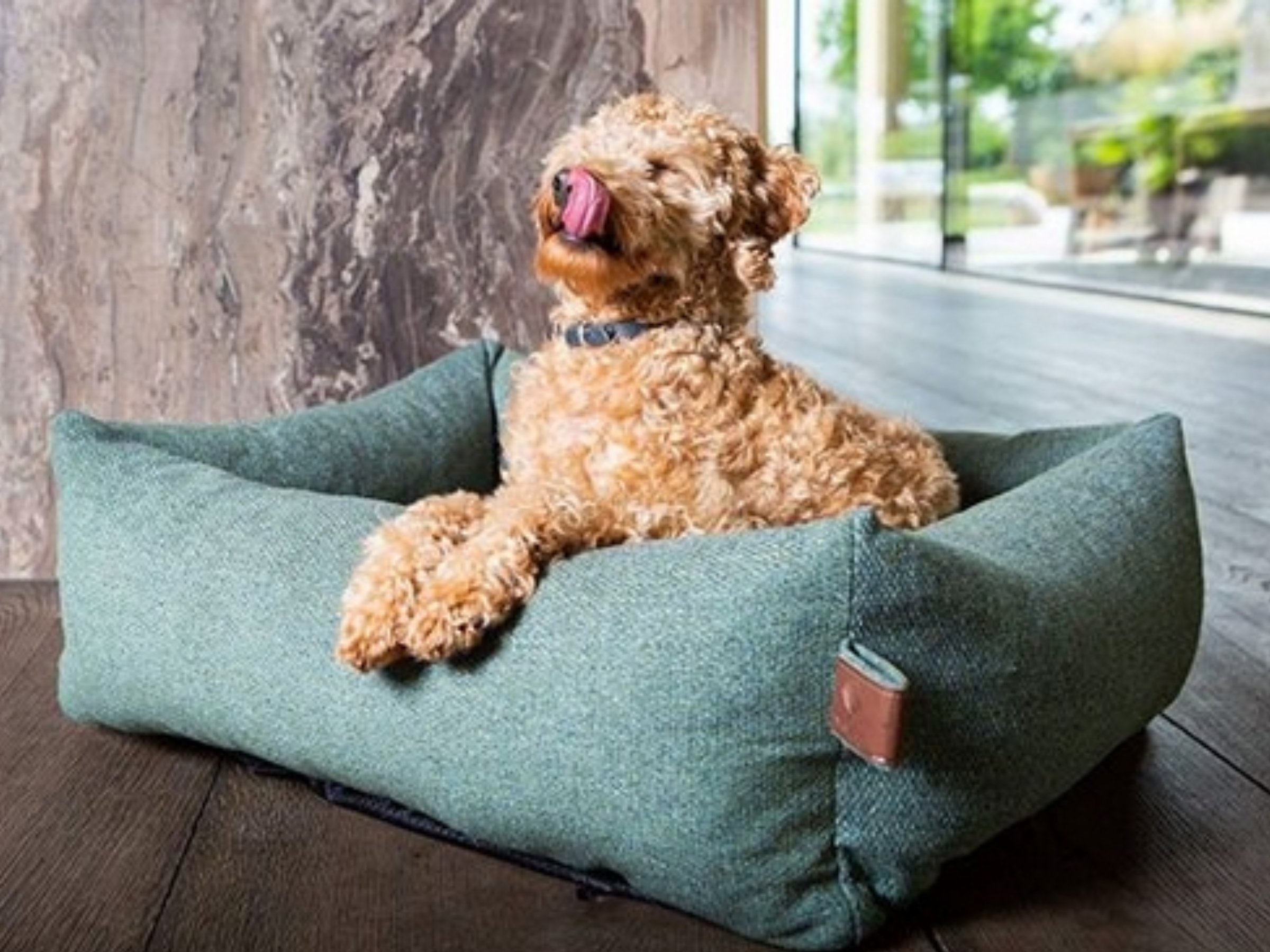 hondenmanden - De Nieuwe Hond
